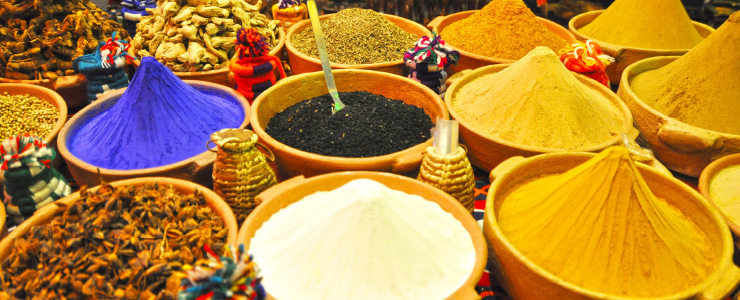 Turistična agencija Sonček - Hurgada